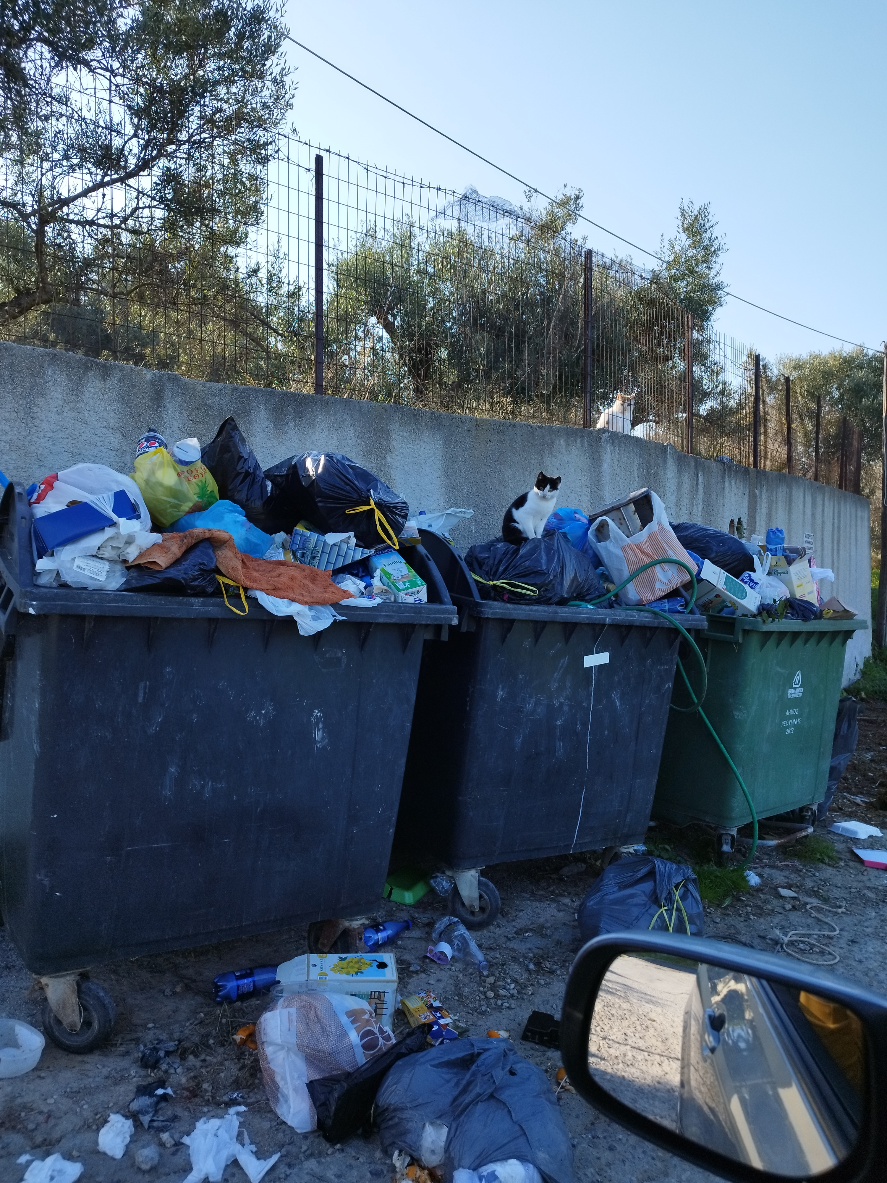 Ξεχείλισαν οι κάδοι απορριμμάτων σε οικισμό του Ρεθύμνου | Rethemnos News