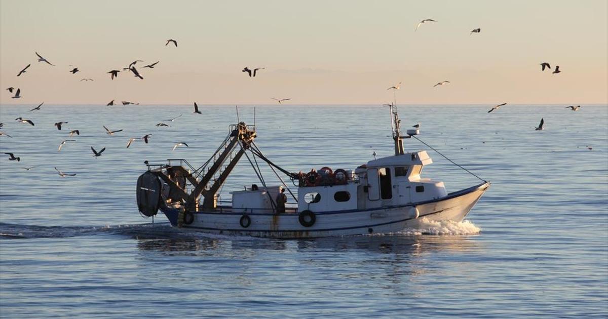 Τοπικό Πρόγραμμα Αλιείας της Κρήτης 2021-2027 - Ανοιχτές Ενημερωτικές ...