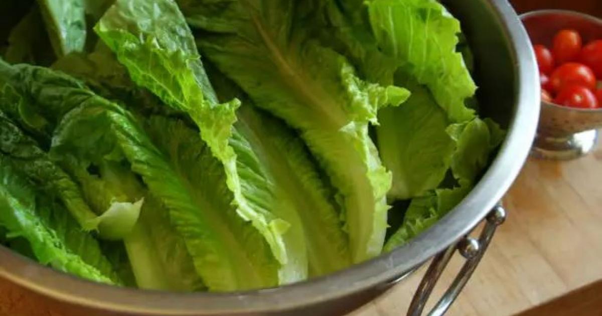 Μαρούλι: Οφέλη υγείας και θρεπτικά συστατικά ανάλογα με τον κάθε τύπο ...