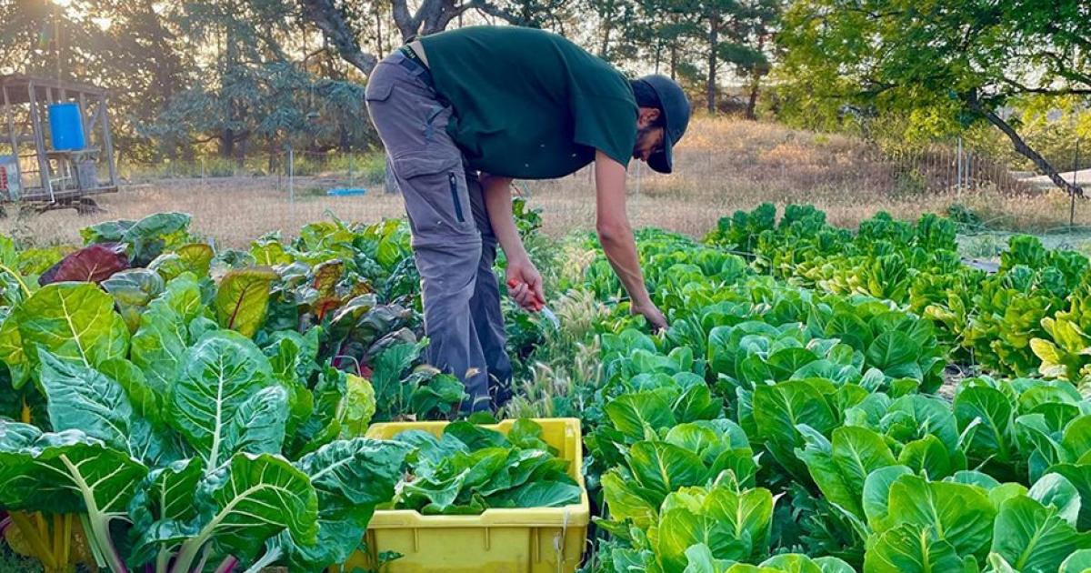 Στα σκαριά νέα ενίσχυση 50.000€ για μικρούς αγρότες – Ποιοι θα τη ...