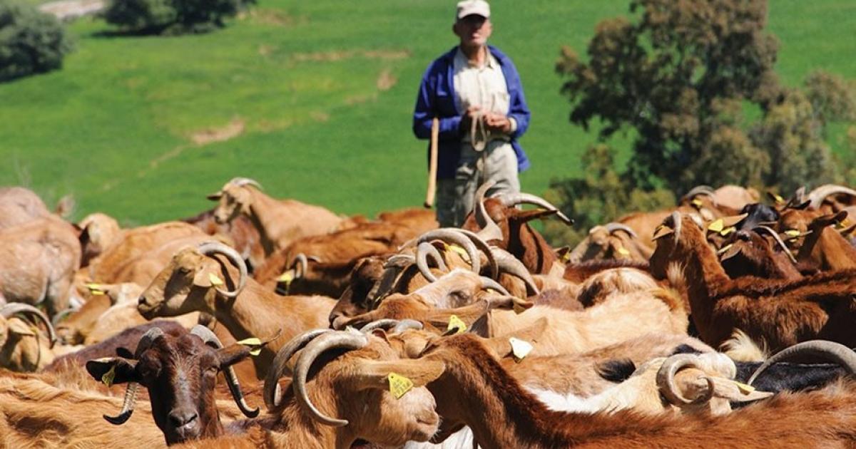 Ένα επιπλέον τσεκ η ενίσχυση αναδιανομής από φέτος με 17,7 ευρώ το ...