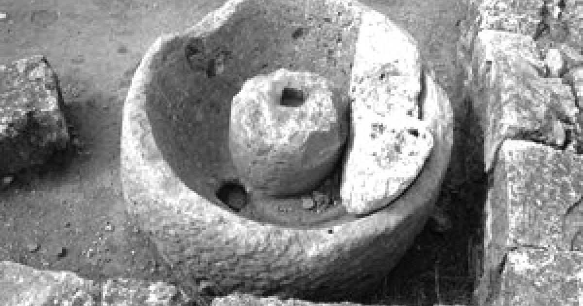 Ιστορία ελαιόλαδου από την Μινωικη Κρήτη μέχρι τη Ρωμαϊκή περίοδο ...
